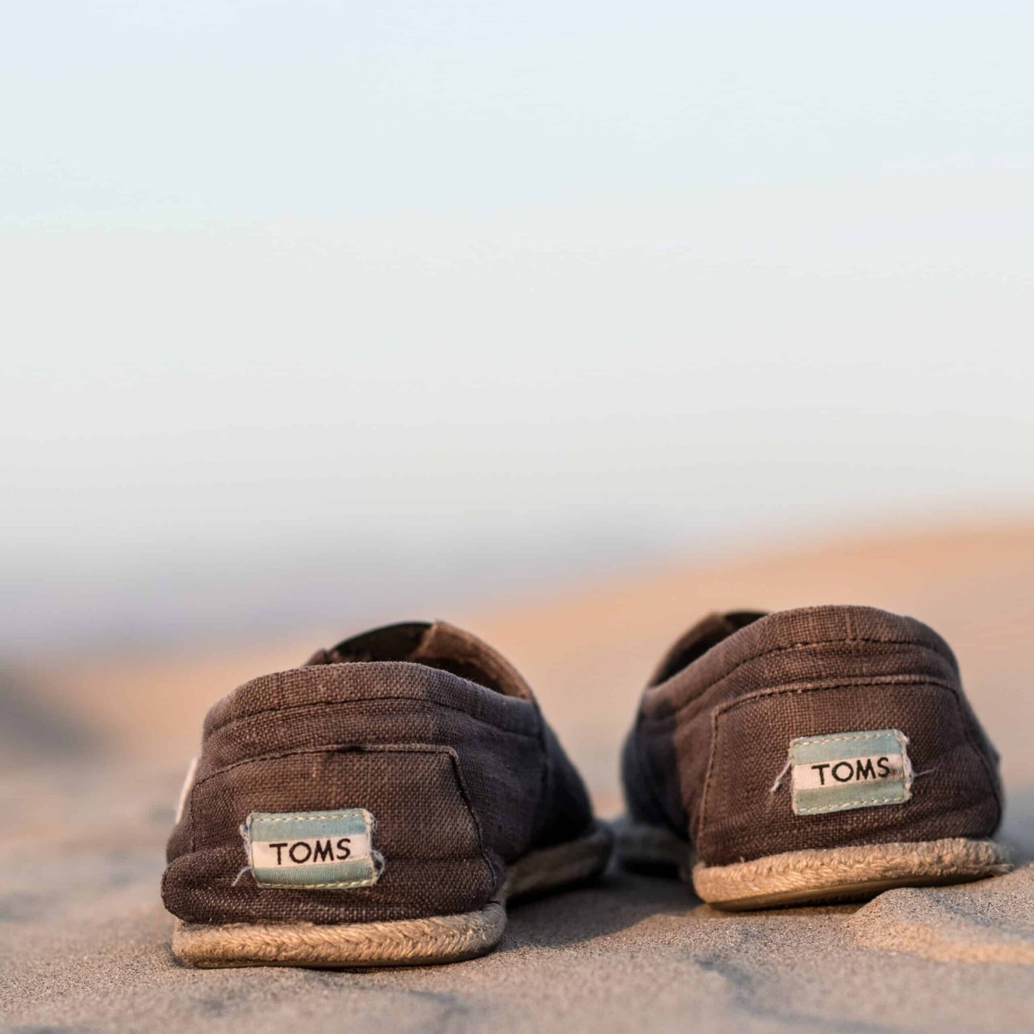 Bobs Vs. Toms - Who Wins The Battle Of Nobility And Comfort?